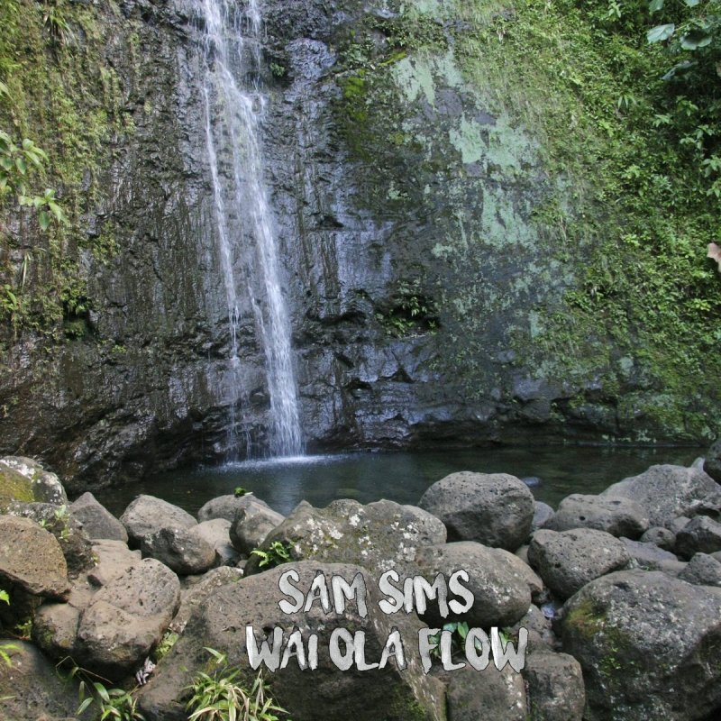Letra de Wai Ola Flow de Sam Sims | Musixmatch
