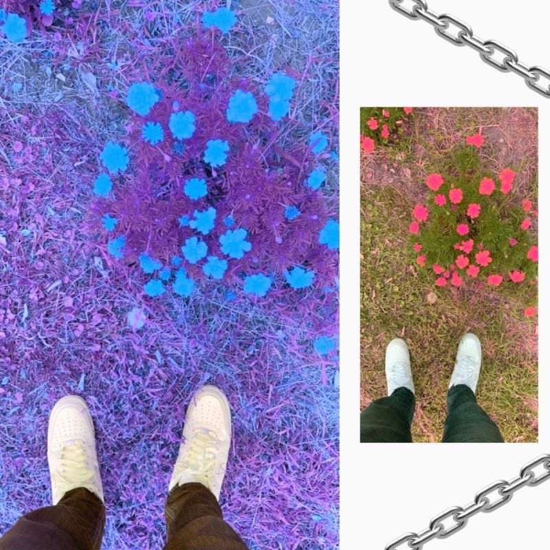 Caleb Apollo - Blue Friends Lyrics | Musixmatch