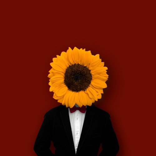 Lio Petricor - Colors lyrics | Musixmatch