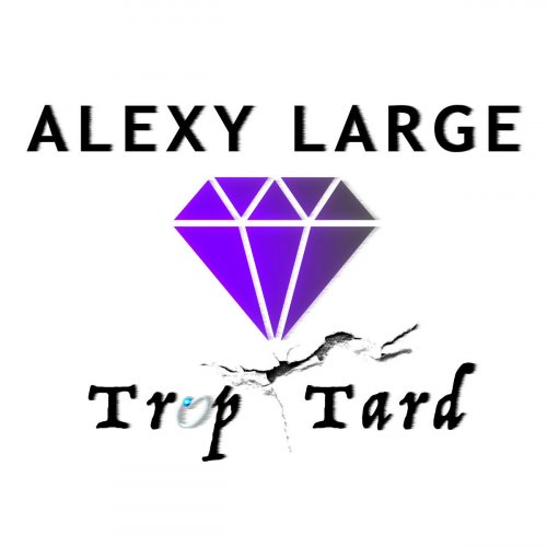 Alexy Large - Trop Tard Lyrics | Musixmatch