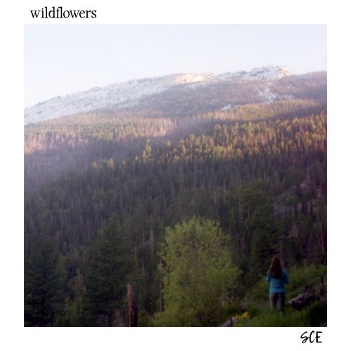 Sam Eckert - wildflowers lyrics | Musixmatch