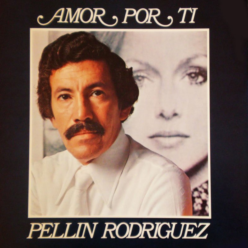 Letra de Arrebatadora de Pellin Rodriguez | Musixmatch