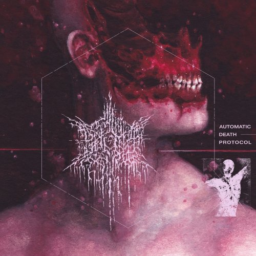 PSYCHO-FRAME - Bone Crown Deformity tradução em Espanol | Musixmatch