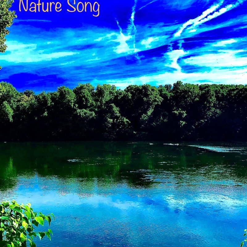 Letra de Nature Song (Single Edit) de Taylor Deming | Musixmatch