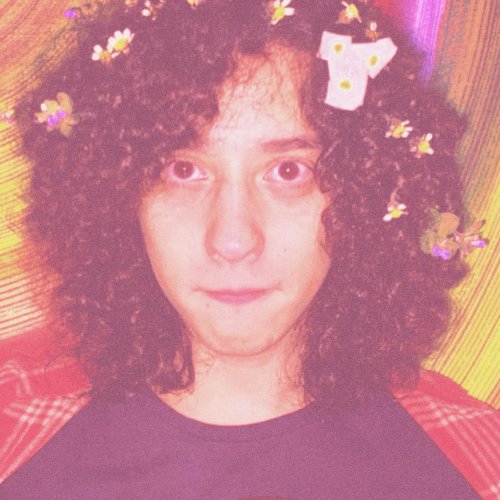 Letra de El Paranoia - A Flower In Norway part 2 | Musixmatch