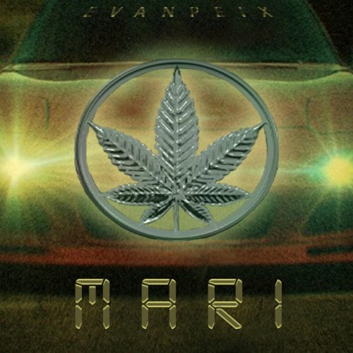 EVAN PEIX - Letras de MARI | Musixmatch