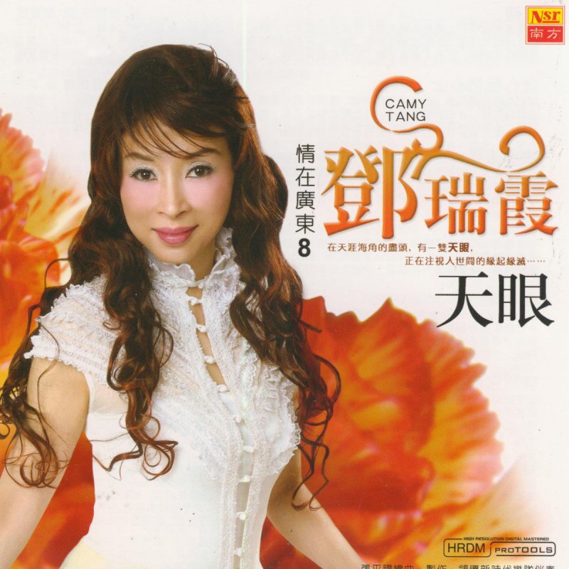 Camy Tang - 相思雨 Lyrics | Musixmatch