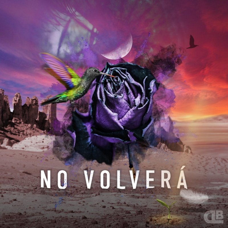 Letra de No Volverá de Diego Bravo | Musixmatch