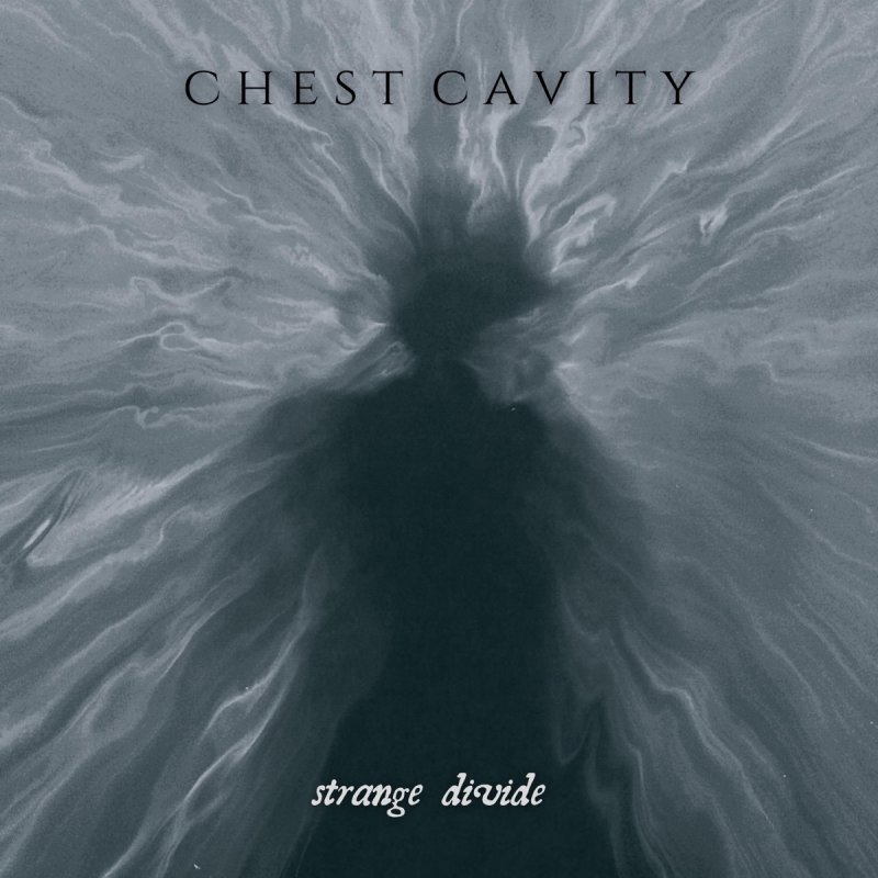 Letra de Strange Divide de Chest Cavity | Musixmatch