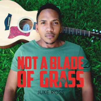 Juke Ross - Not a Blade of Grass lyrics | Musixmatch