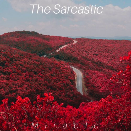 The Sarcastic - Good Old Times Lyrics | Musixmatch