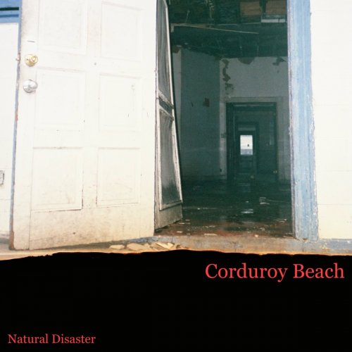 Corduroy Beach - Natural Disaster lyrics | Musixmatch