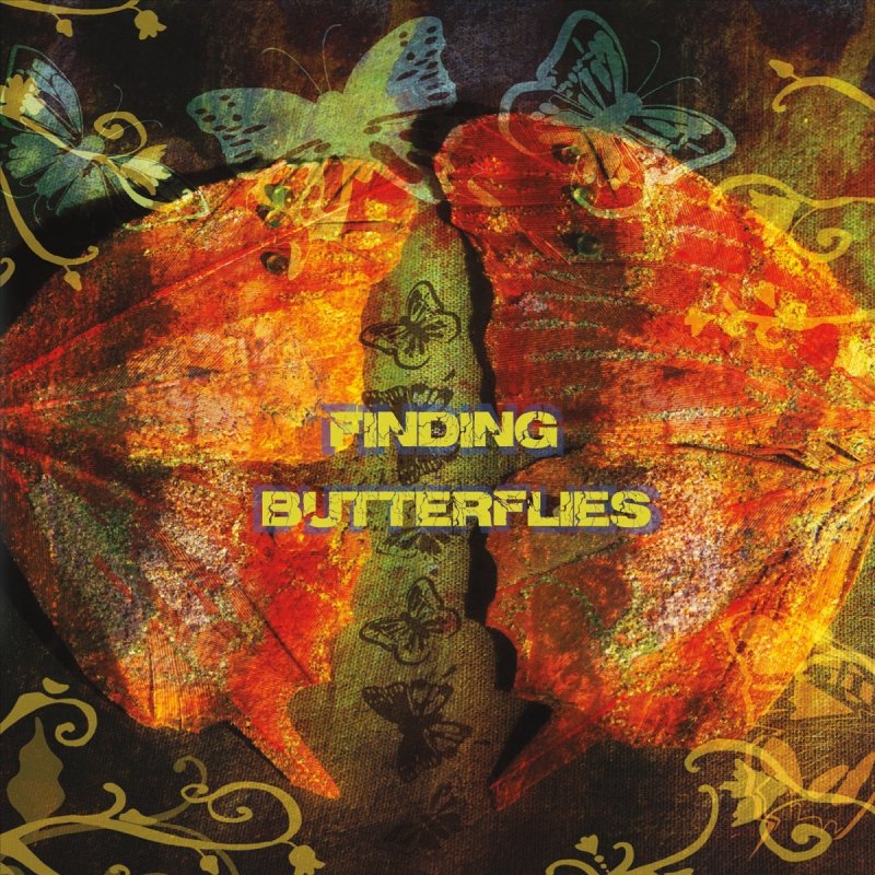 Finding Butterflies - Little Bird Lyrics | Musixmatch