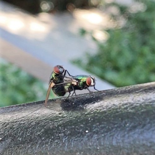 Rucka Rucka Ali - I'm Racist (In No Way Whatsoever) 歌詞 | Musixmatch