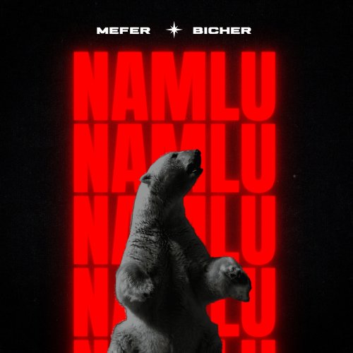 BICHER, Mefer - NAMLU lyrics | Musixmatch