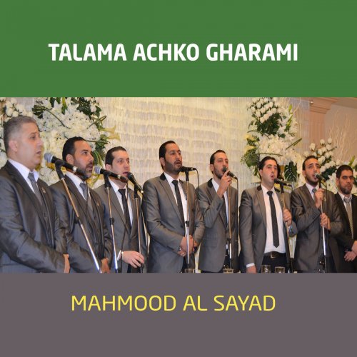 Mahmood Al Sayad - Allahoma Sali lyrics | Musixmatch