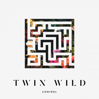 Traducción de la letra de Control de Twin Wild al español | Musixmatch