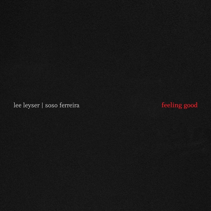 Lee Leyser - Feeling Good Lyrics | Musixmatch