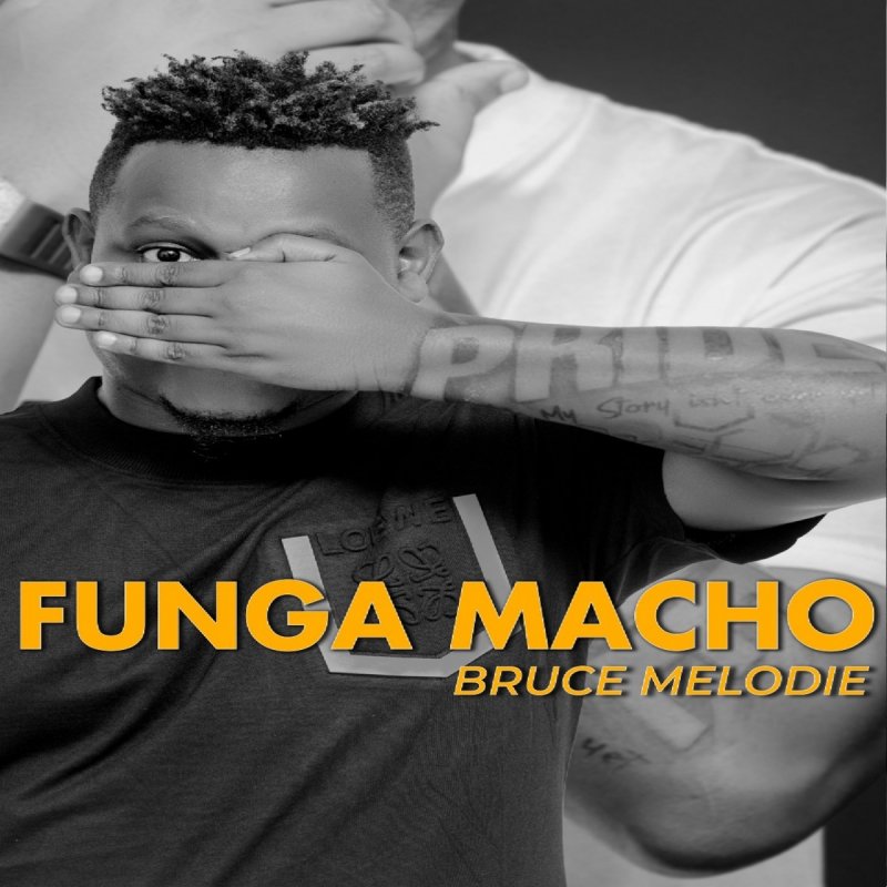 Bruce Melodie - Funga Macho Lyrics | Musixmatch