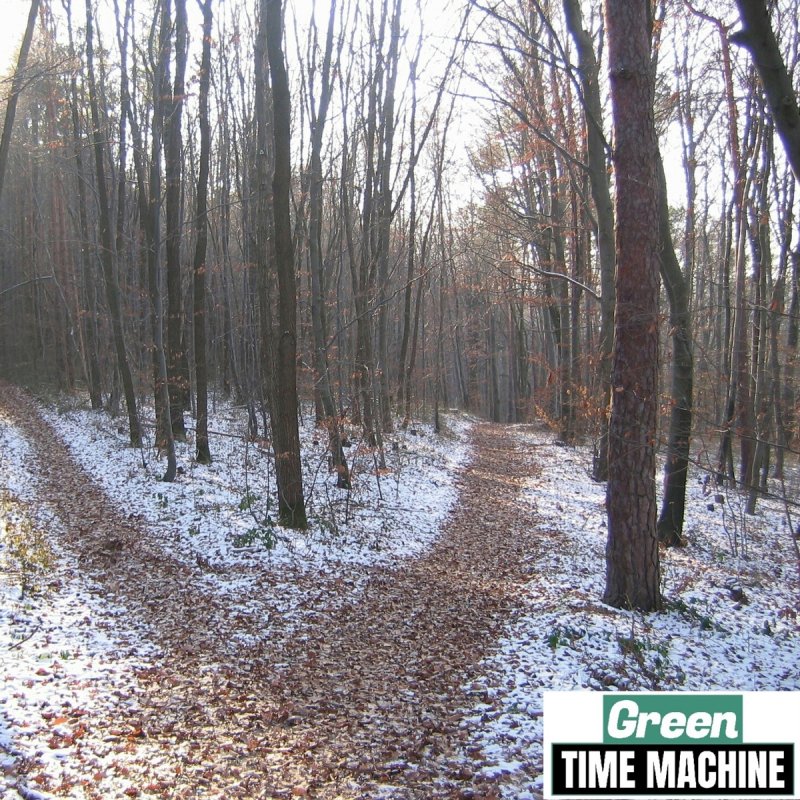 Green Time Machine - Old Tears Lyrics | Musixmatch