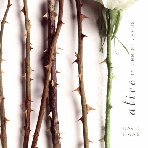David Haas - Jesus, Heal Us lyrics | Musixmatch