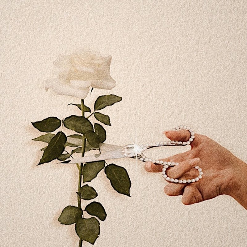 Letra de after everything de Nadine El Roubi | Musixmatch