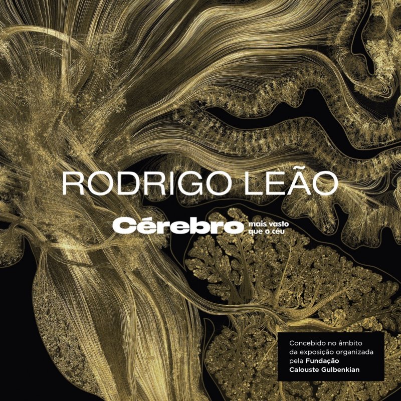 Rodrigo Leão - Mais Vasto Que o Céu Lyrics | Musixmatch