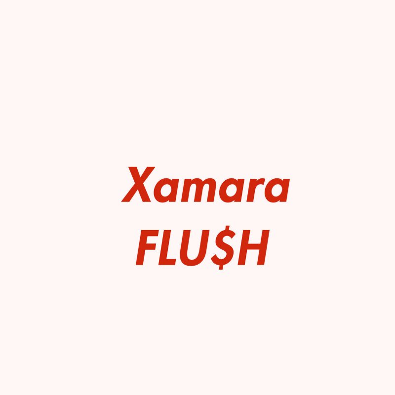 Xamara - Flush Lyrics | Musixmatch