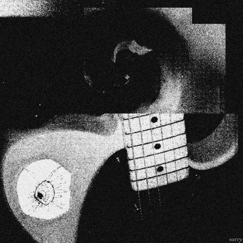 Fox Haynes - Sorry Lyrics | Musixmatch