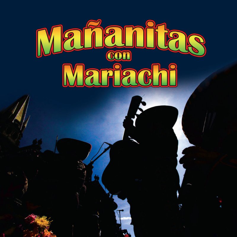 Mariachi Vallarta - Las Mañanitas Lyrics | Musixmatch