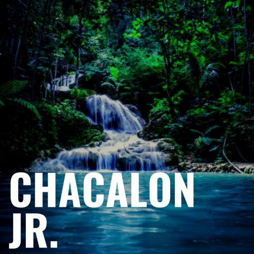 Chacalón Jr. - Ahora Lyrics | Musixmatch