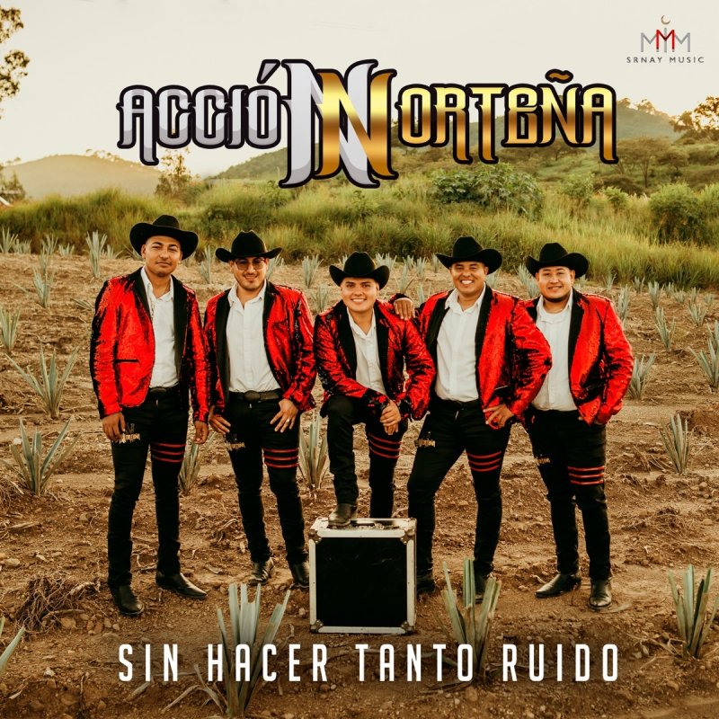Letra de En Preparacion de Accion Norteña | Musixmatch