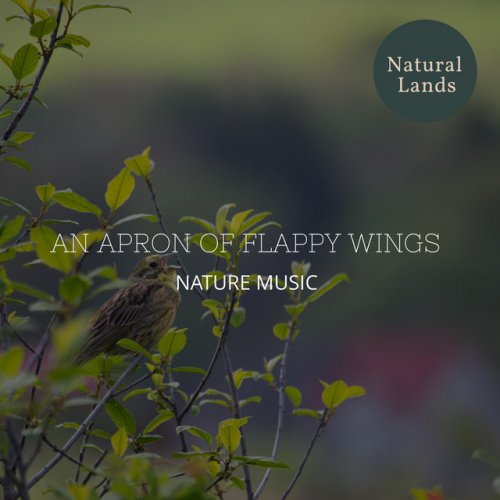 Nature Peace Music Club - Estuary Dawn Wetlands testo | Musixmatch