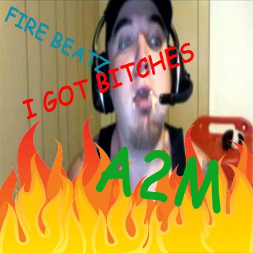 A2m Paroles De I Got Bitches Musixmatch