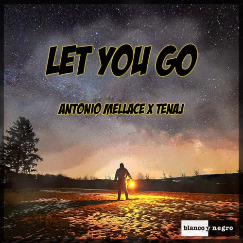 Antonio Mellace feat. Tenaj - Let You Go Lyrics | Musixmatch
