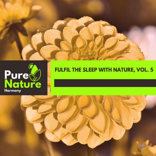 Popping Nature Fire Sound Project - Fun and Love with Fire Audio 歌詞 ...