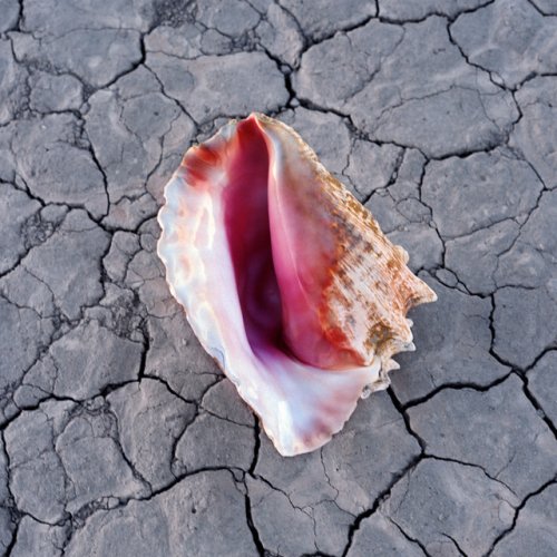 The Killers - Run For Cover lyrics | Musixmatch