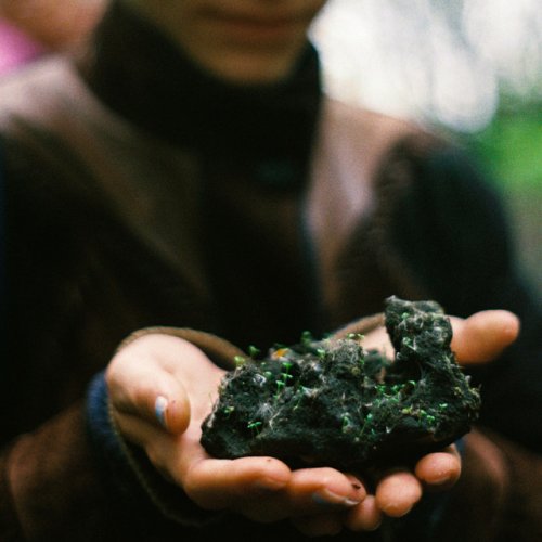 Letra de On Familiar Ground, Accompanied by Familiar Faces de of all ...