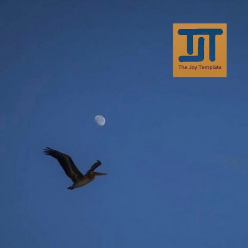 The Joy Template feat. DMNK - Spark of Life Lyrics | Musixmatch