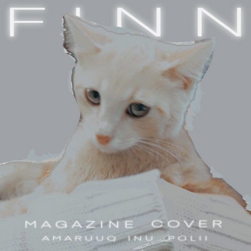Letra de Finn Magazine Cover de Amaruuq Inu Polii | Musixmatch