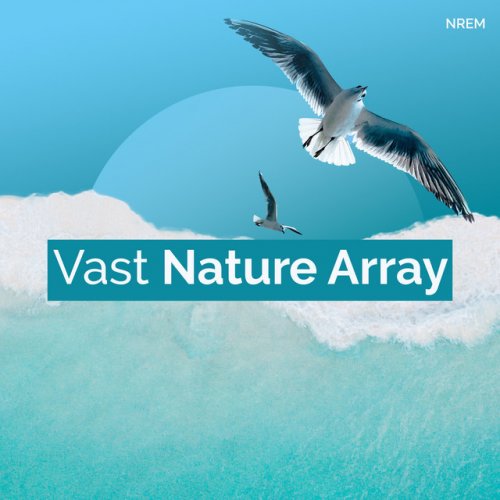 NREM - Roof Splash lyrics | Musixmatch