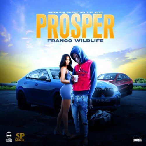 Franco Wildlife - Prosper lyrics | Musixmatch