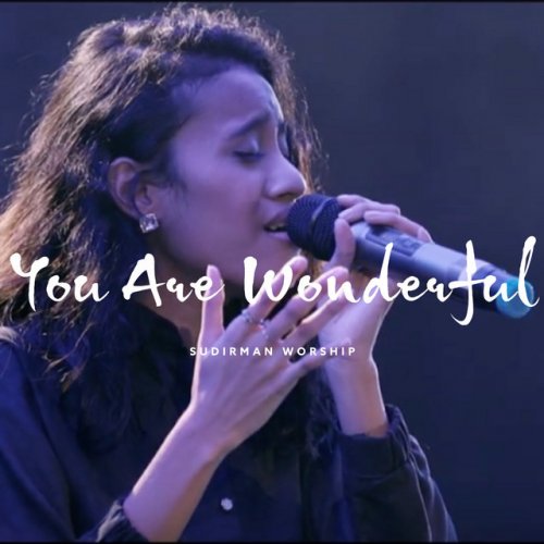 Sudirman Worship - You Are Wonderful lyrics | Musixmatch