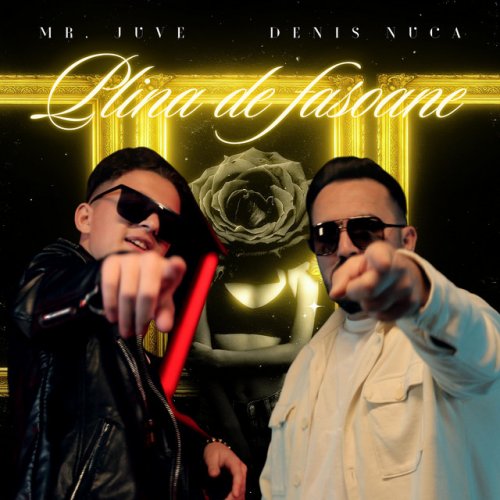 Mr. Juve feat. Denis Nuca - Plina de fasoane Lyrics | Musixmatch