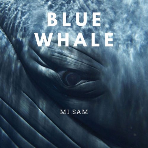 Mi Sam - Blue Whale Lyrics | Musixmatch