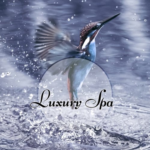 Day Spa Academy - Thermae Bath Spa Lyrics | Musixmatch