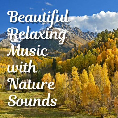 Weather and Nature Recordings, The Forest Escape, Nature on Record ...