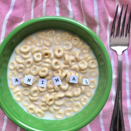 Letra de Grumpy Plum - Animal | Musixmatch