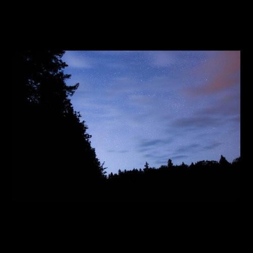 Aaron Percy - Your Flowers lyrics | Musixmatch