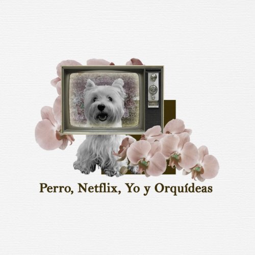 Letra de Perro, Netflix, Yo y Orquídeas de Raul Romero | Musixmatch